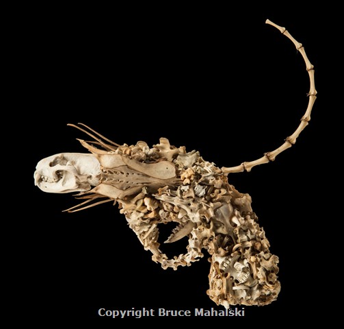 Ladies Pistol (2015) > Bruce Mahalski > Gallery