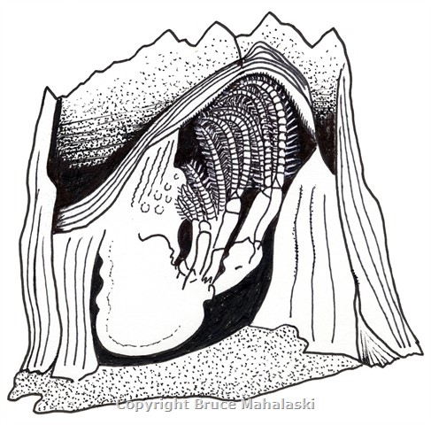 038 - Barnacle Picture > Bruce Mahalski > Gallery